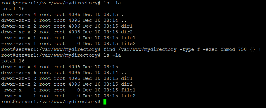 How To Chmod Files Only On Linux