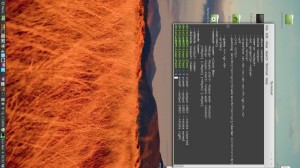 Rotating screen in Ubuntu and Linux Mint