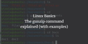 Linux Basics: The gunzip command explained (with examples)