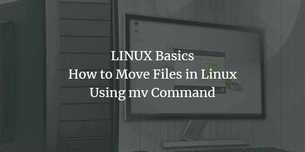 LINUX Basics How To Move Files In Linux Using Mv Command